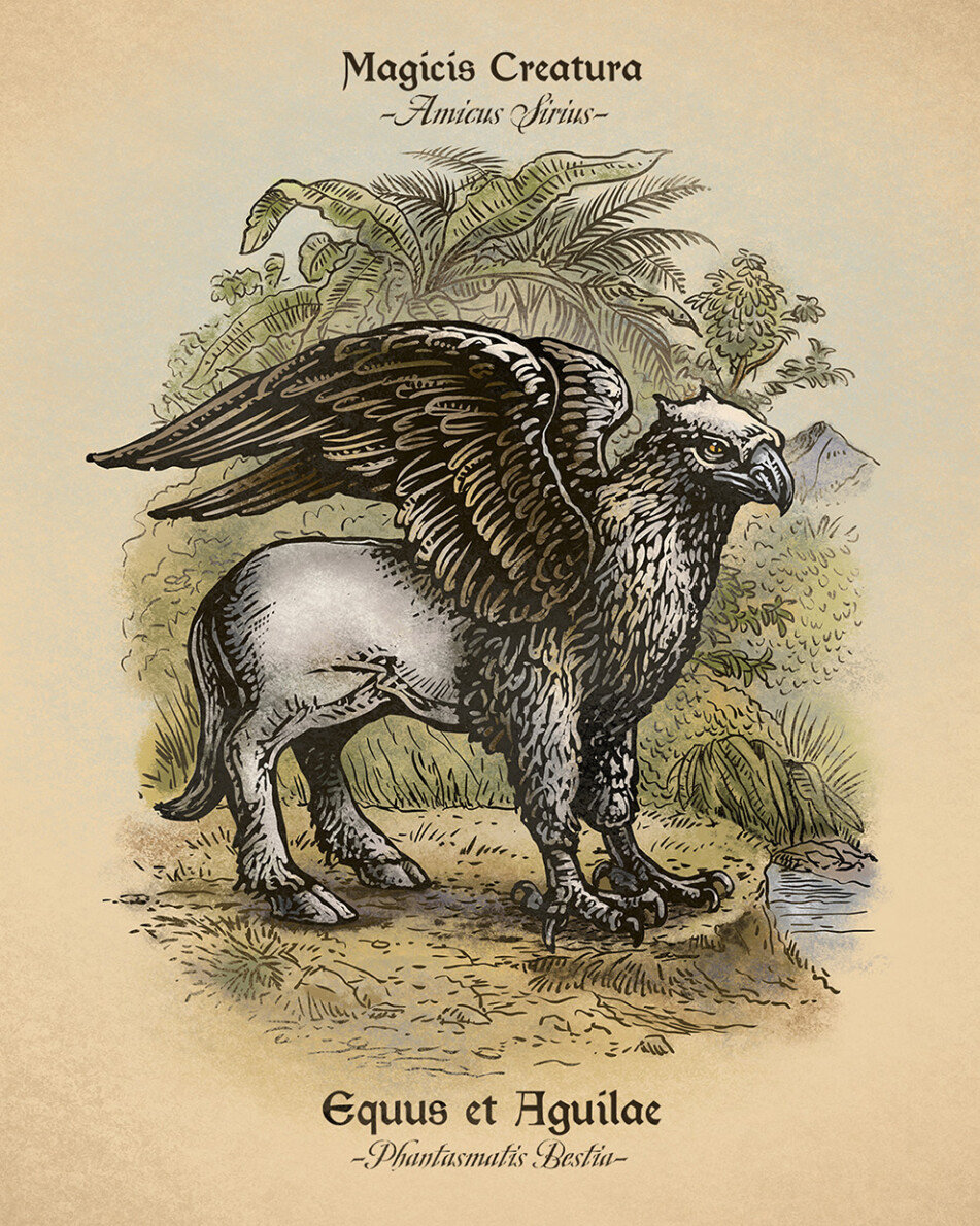 非自然历史奥斯汀插画家 Chet Phillips 在他的“Chet Phillips”系