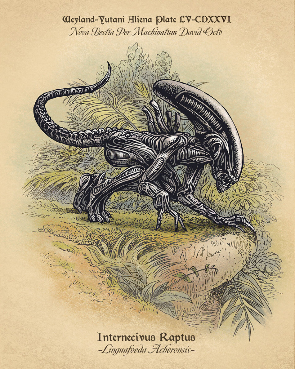 非自然历史奥斯汀插画家 Chet Phillips 在他的“Chet Phillips”系