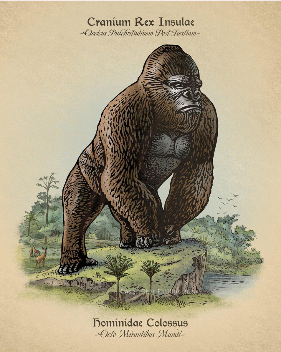 非自然历史奥斯汀插画家 Chet Phillips 在他的“Chet Phillips”系