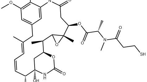 美登素DM1 | 139504-50-0 | 瑞威尔生物科技|美登|乙酰基|分子式|分子量|结构式_新浪新闻