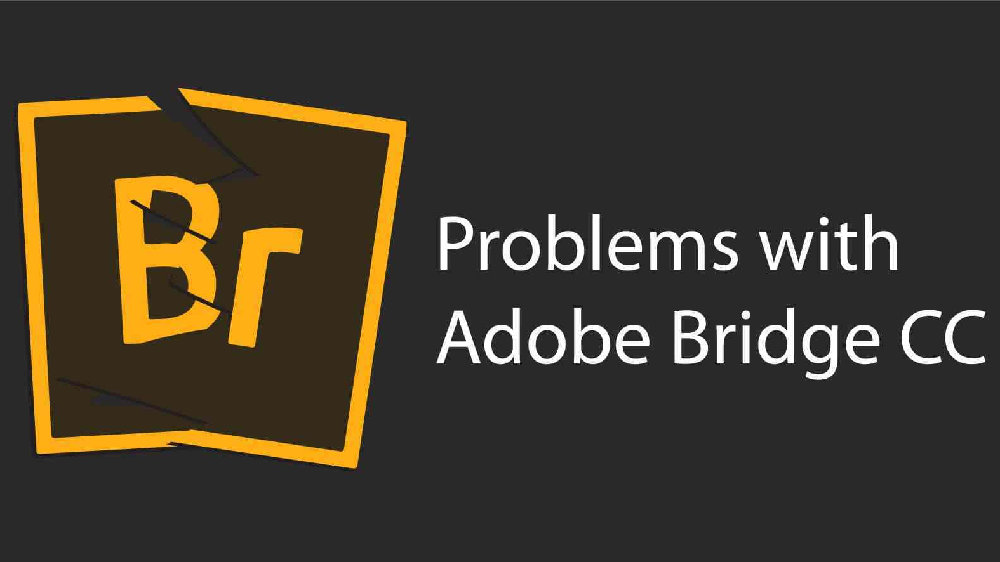 Adobe Bridge 全系列版本，安装即用（包含BRCC-BR2023所有版本）|多媒体|文件|磁盘_新浪新闻