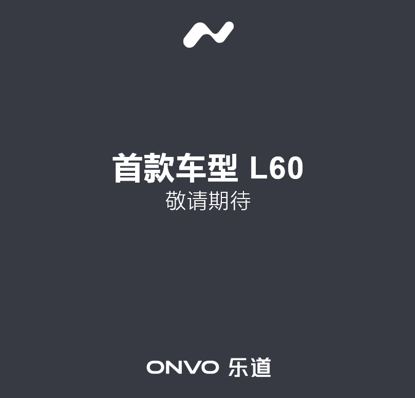 Model Y有对手了！蔚来乐道新车5天后发布，25万能大卖？-新浪汽车