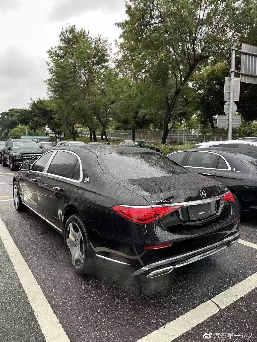 稀有黑米搭配迈巴赫S480，四座版-新浪汽车