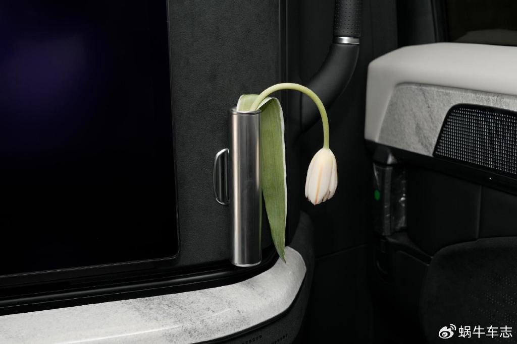 78.9万元起，对标超豪MPV它胜算在哪？极氪009光辉上市-新浪汽车