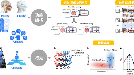 类脑智能：基于脑启发的智能研究新范式|机器人|模型|神经元|神经网络|范式_新浪新闻