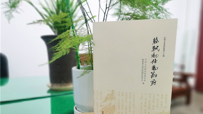 《苏轼初仕凤翔府》出版发行|凤翔|苏轼初仕凤翔府|苏轼_新浪新闻
