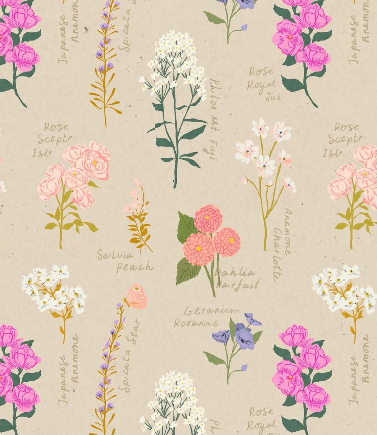 来自插画师 Sally Murphy Design 的一组可爱治愈的绘画作品__财经头条