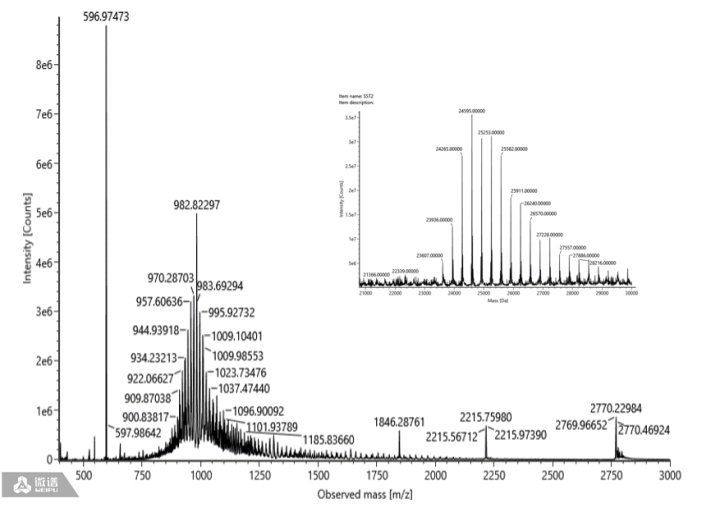 「新晋顶流」mRNA技术和它的Poly A尾长案例分析|片段|比图|碱基_新浪新闻