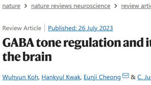 Nat Rev Neurosci 重要综述: 我们对GABA在大脑的作作用了解多少？|突触|细胞|电流_新浪新闻