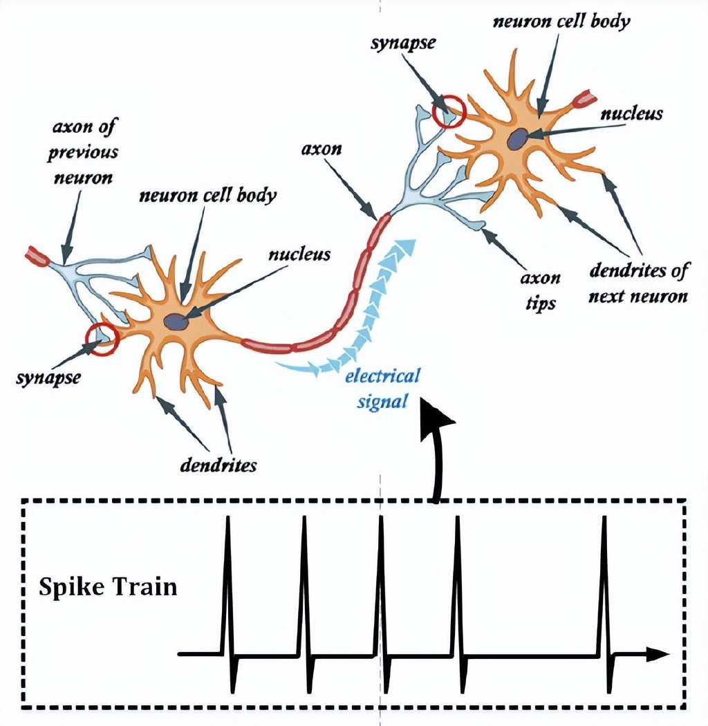 降低百倍时间步：上交等机构提出ANN-SNN 转换框架SpikeConverter__财经头条