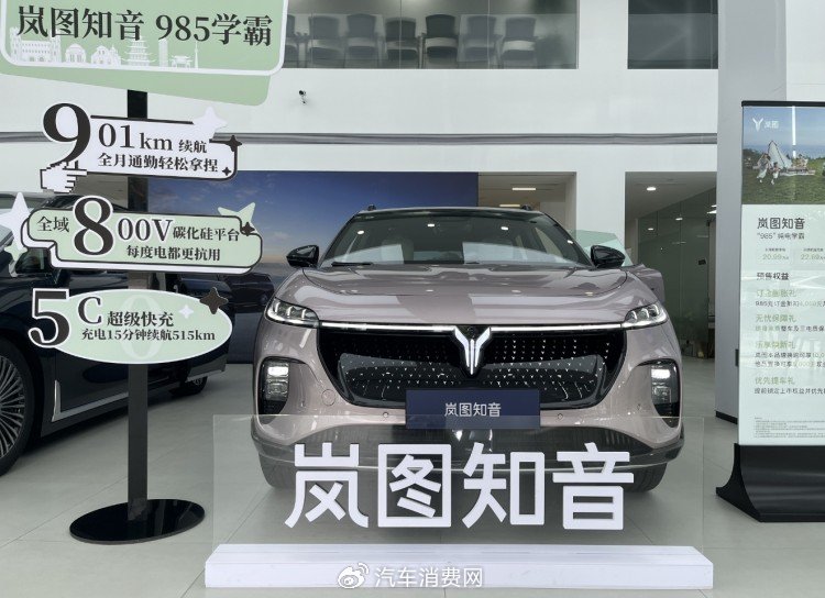 探店丨901km续航、800V平台、5C超充，岚图知音真“985”学霸！-新浪汽车