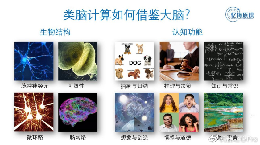 忆海原识发布类脑计算平台，下一代AI突破口到来__财经头条