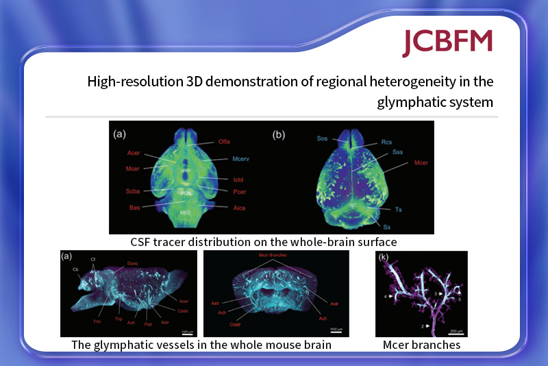 进展汇编：近期应用国产成像技术fMOST的14篇重要学术成果__财经头条