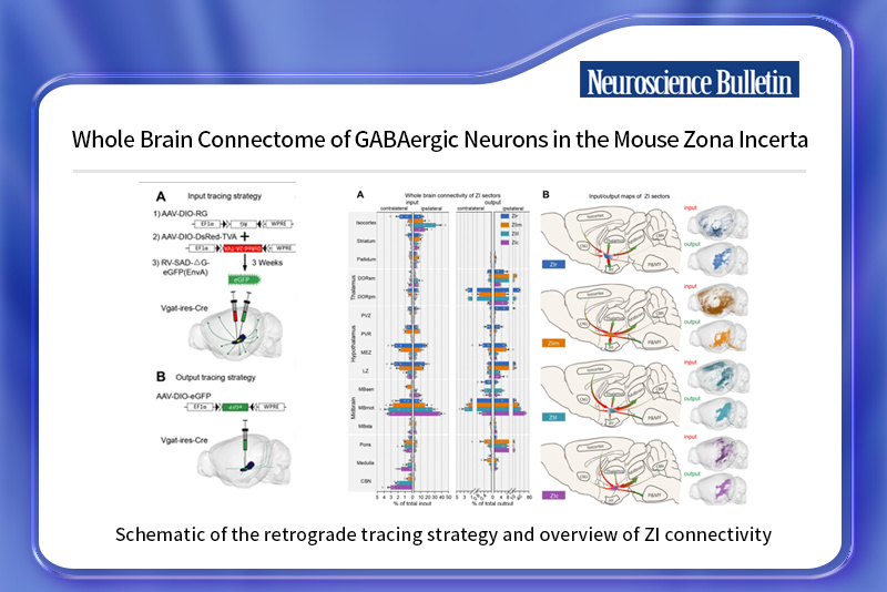 进展汇编：近期应用国产成像技术fMOST的14篇重要学术成果__财经头条