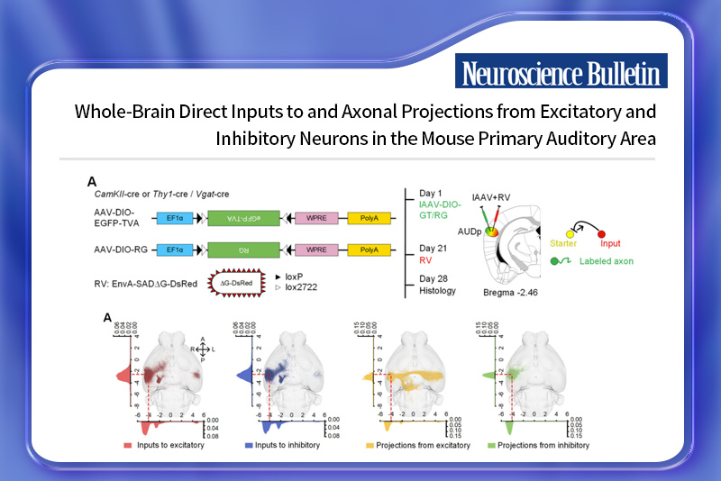 进展汇编：近期应用国产成像技术fMOST的14篇重要学术成果__财经头条