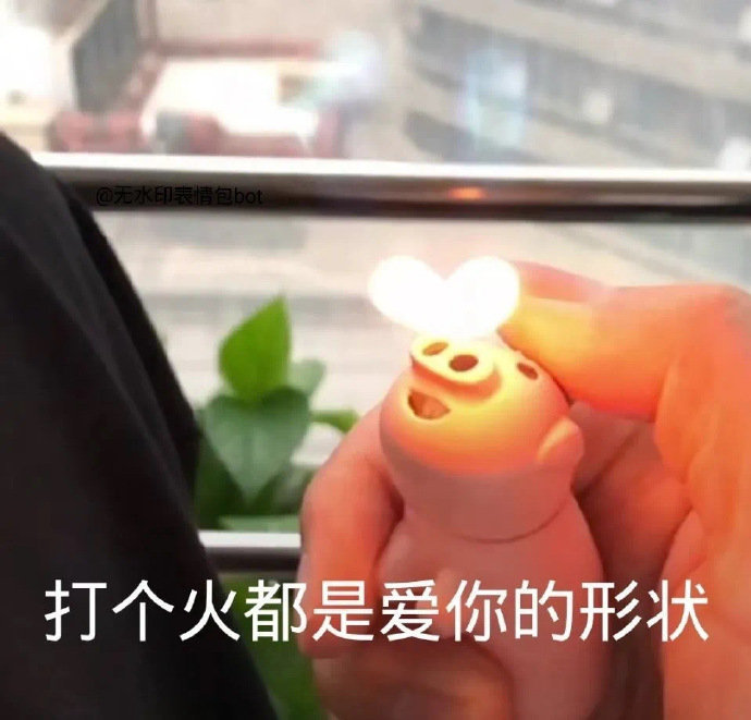 今日份可爱表情包合集，下午好