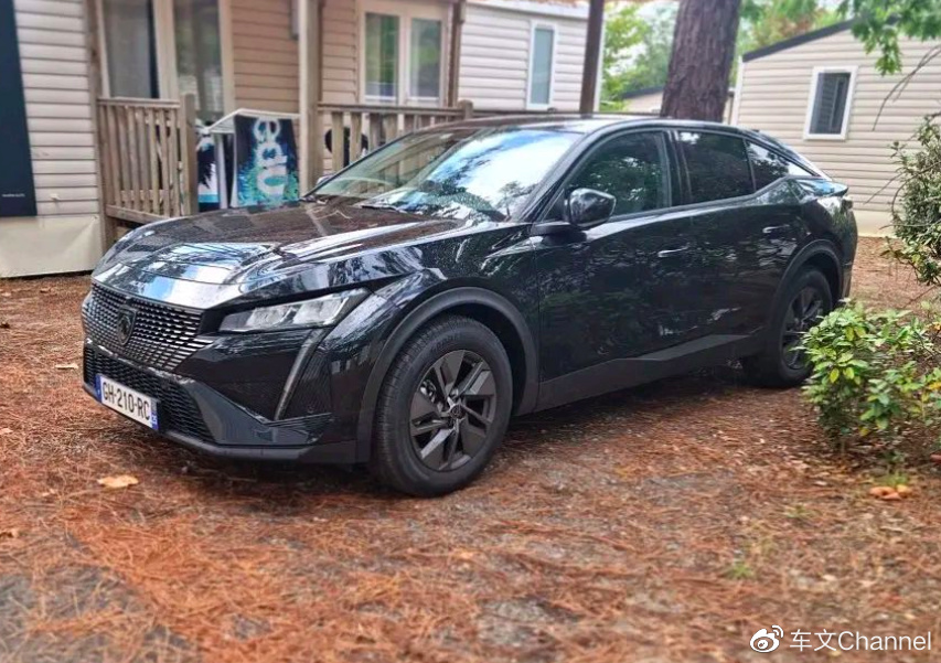 两大新车登场，新标致408X/新款标致e-208实力如何，救市之作？-新浪汽车