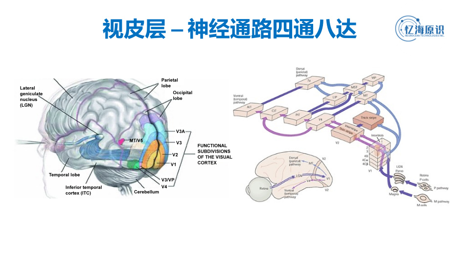 忆海原识发布类脑计算平台，下一代AI突破口到来__财经头条