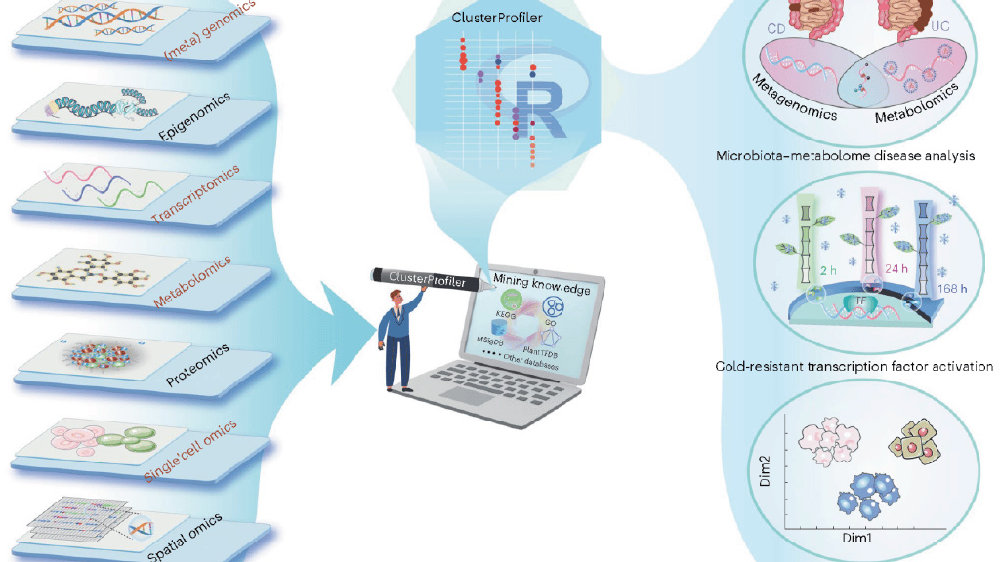 Nature Protocol丨clusterProfiler，快速表征多组学数据|数据库|基因|微生物_新浪新闻