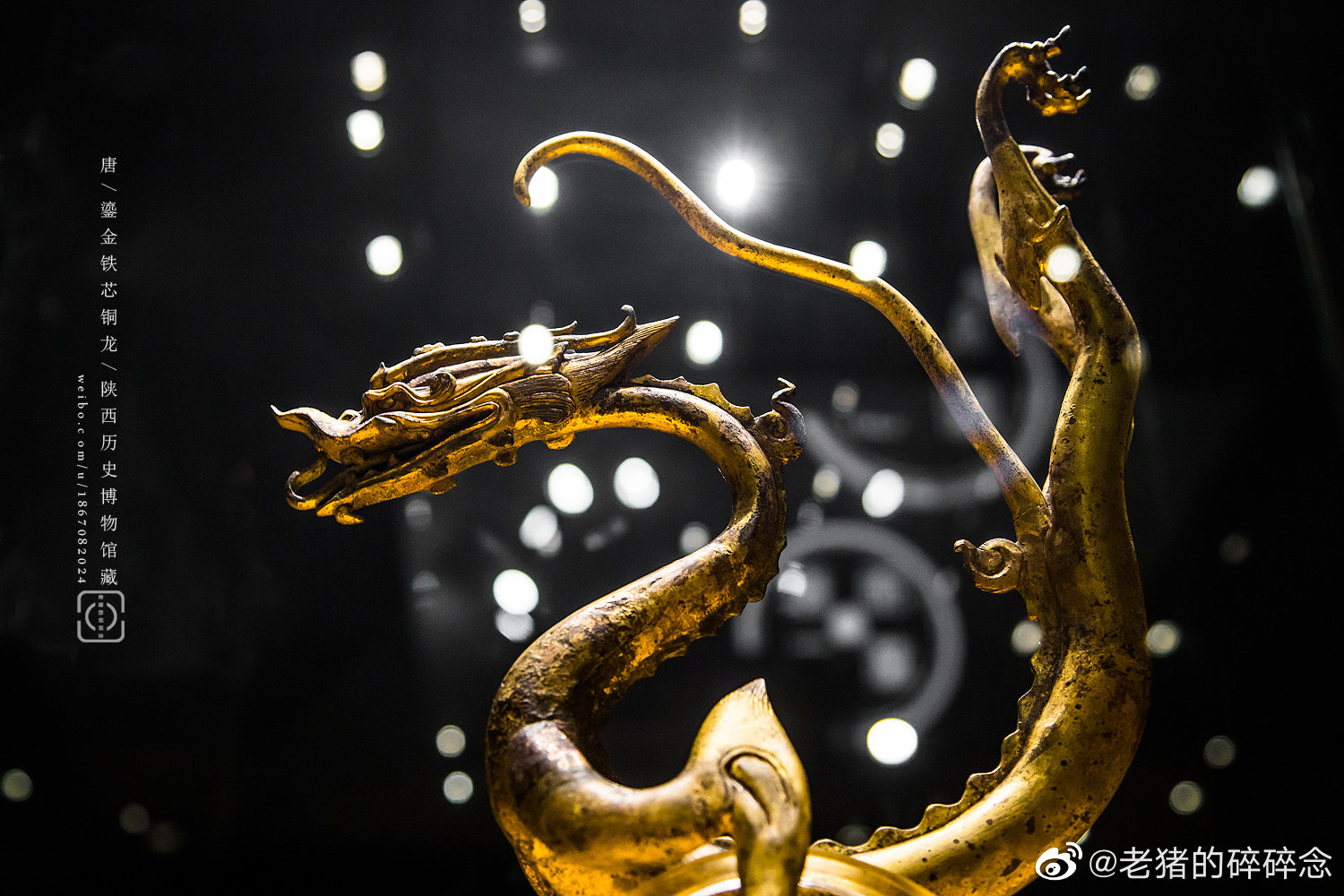 这是一条唐朝的龙，龙体为铜质，铜内包铁芯，表面通体鎏金eoi 9181