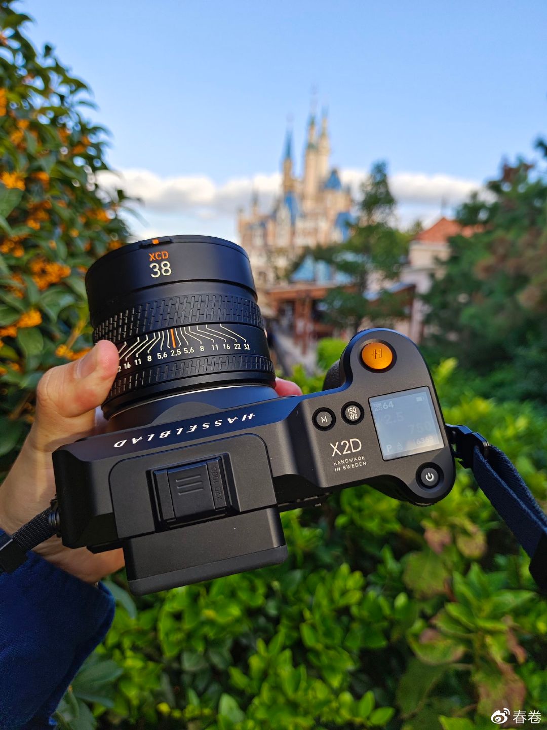 “我有一份令人羡慕的工作”的背后 用哈苏X2D拍摄的上海迪士尼__财经头条