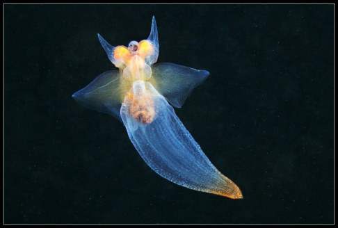 被苏轼点过名的我，漂了~__财经头条