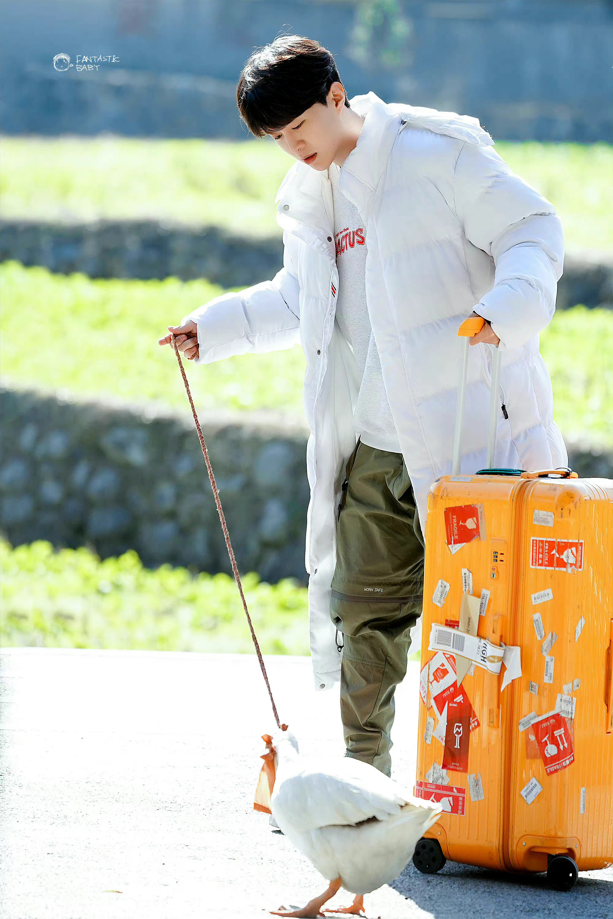 范丞丞《我们的客栈》遛鹅剧照来啦！