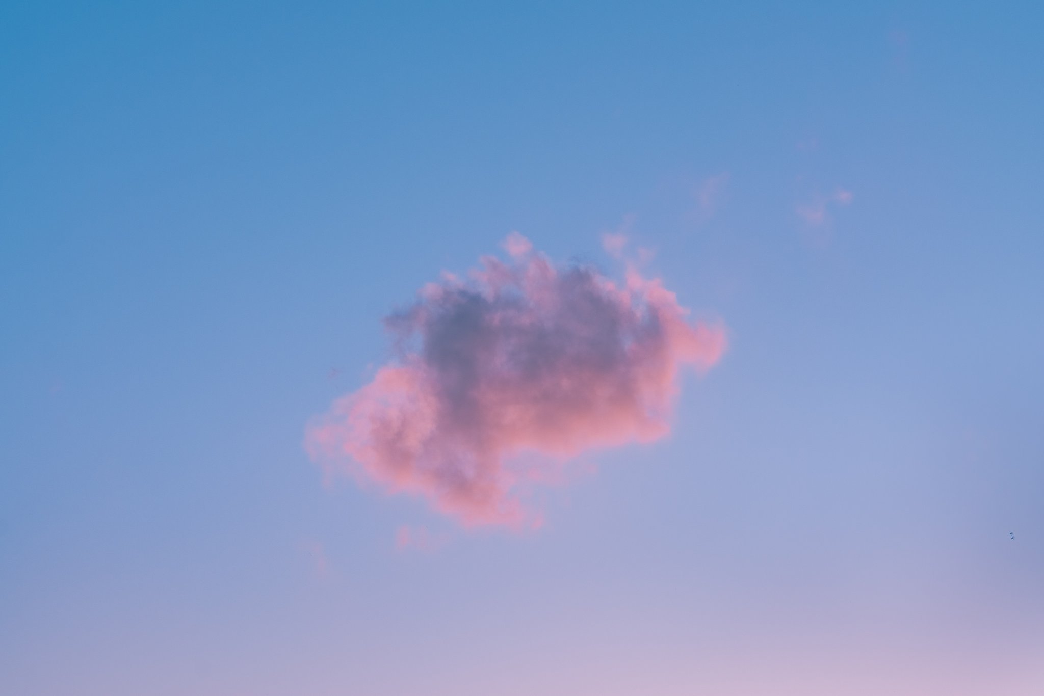 心情柔软的日子。 twi: Akine Coco