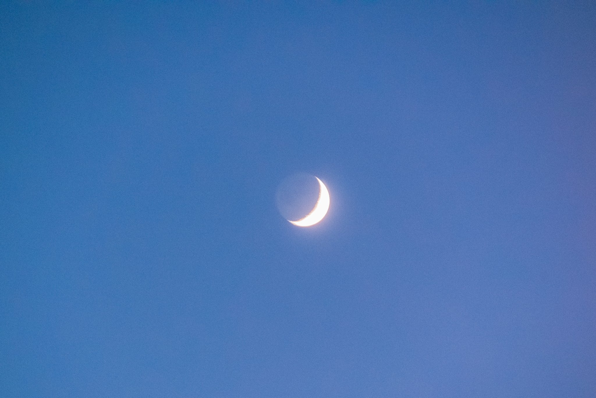 心情柔软的日子。 twi: Akine Coco