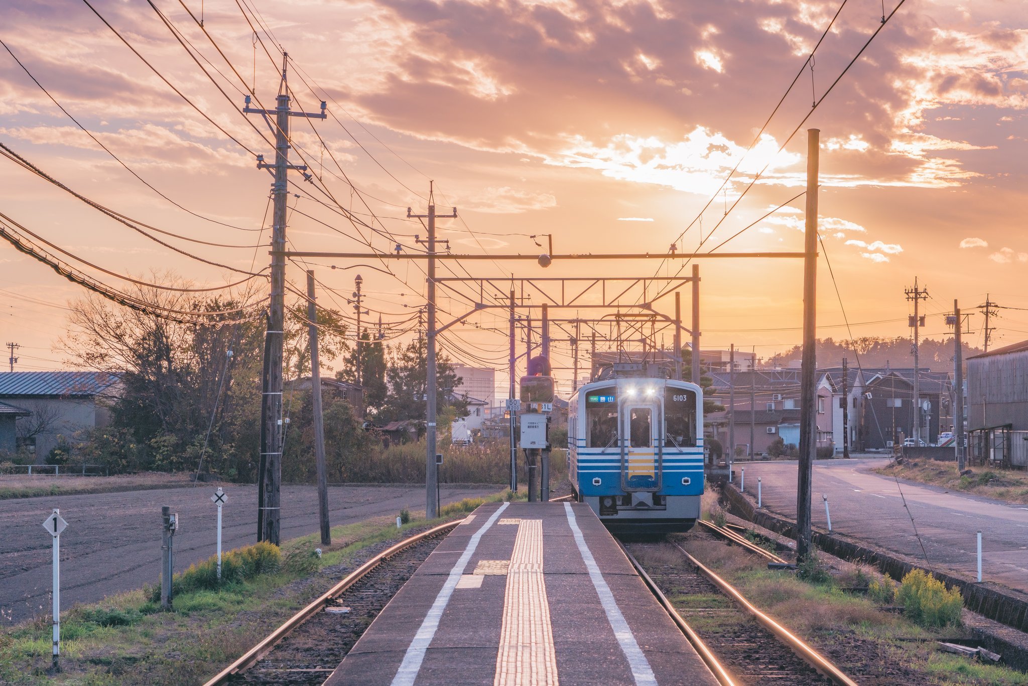 心情柔软的日子。 twi: Akine Coco