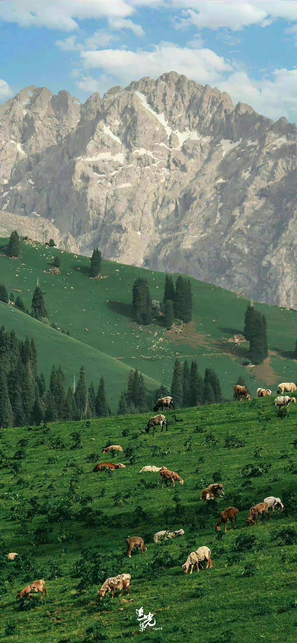 * 想让你一直有好看锁屏壁纸用|壁纸_新浪新闻