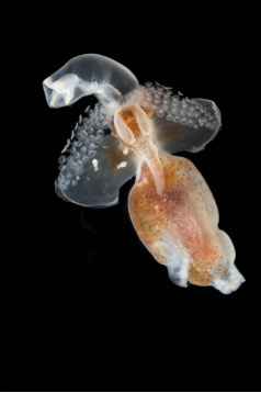 被苏轼点过名的我，漂了~__财经头条