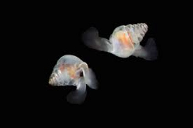 被苏轼点过名的我，漂了~__财经头条