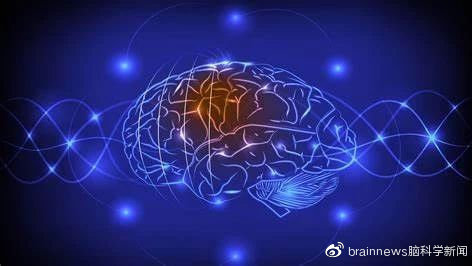 胡海岚教授回国近15年，发表3篇Science、2篇Nature和1篇Cell等论文|环路|神经|神经元_新浪新闻