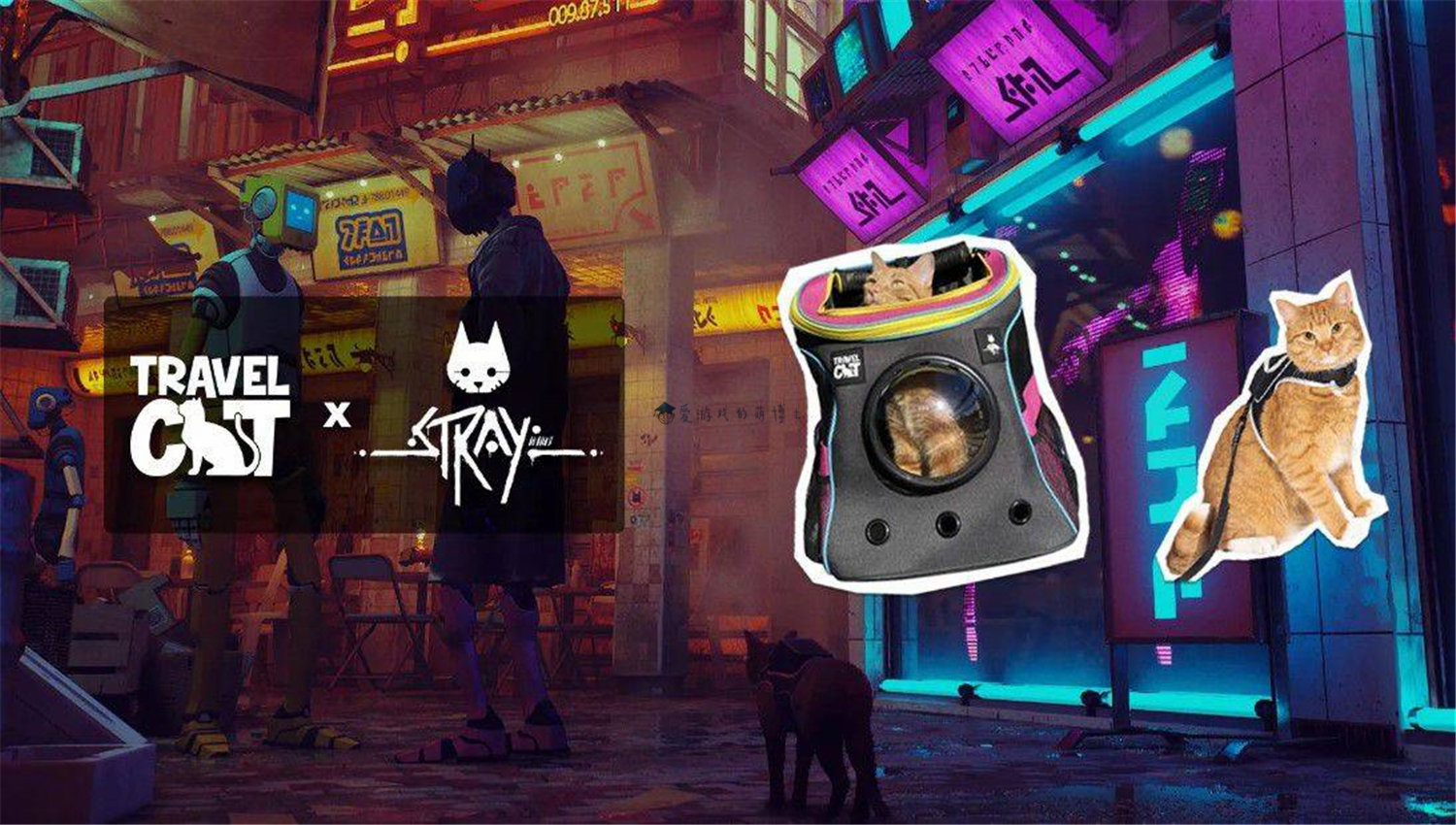 流浪猫冒险游戏《Stray》的开发团队中，有可爱的喵星人|Stray|流浪猫|喵星人_新浪新闻