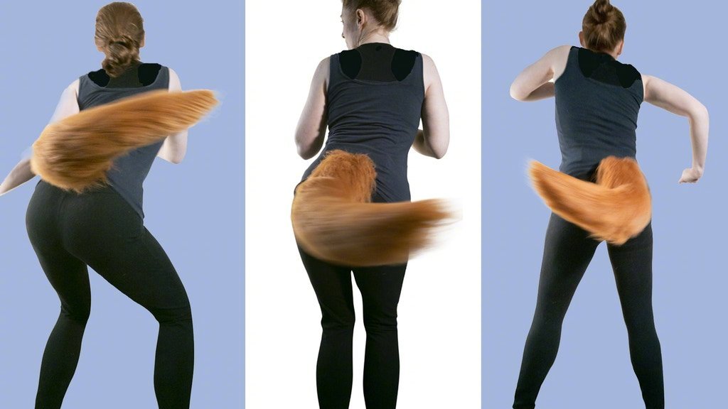 国外一家公司准备推出的电动尾巴……