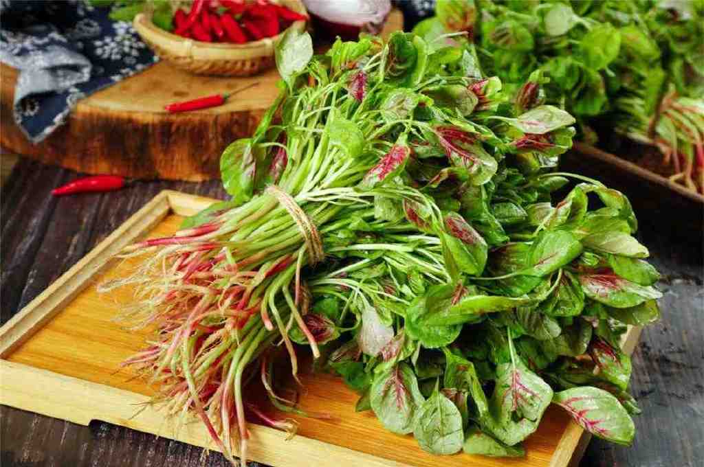 9月23日秋分，再忙记得吃“5秋菜，2秋果”，顺应节气，安然度秋|秋果|苋菜|韭菜_新浪新闻