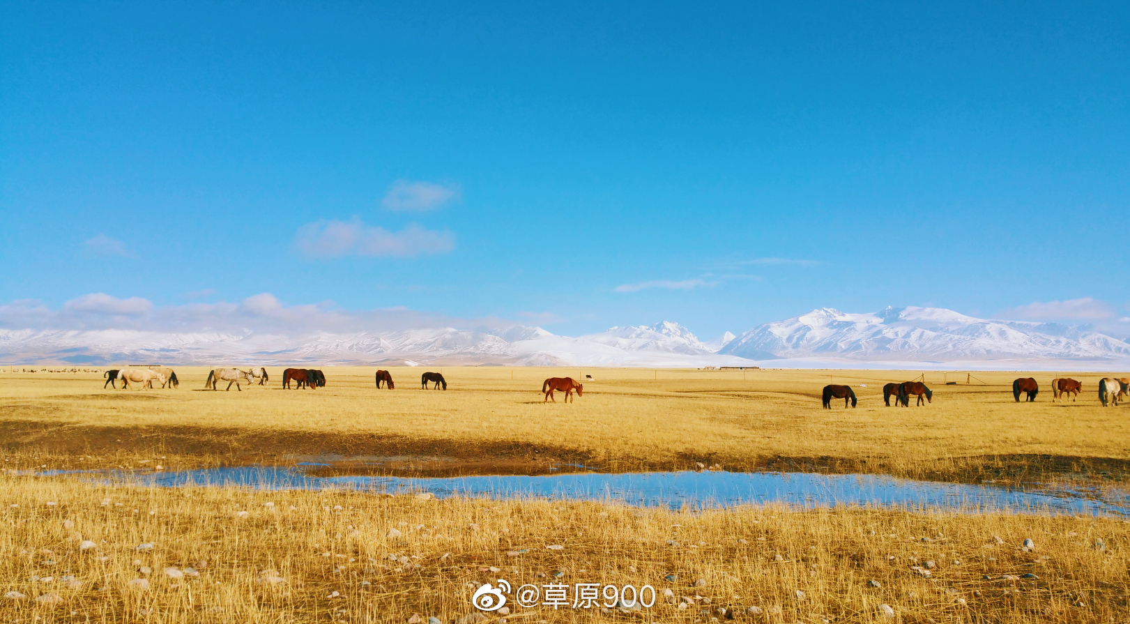 315国道(或“国道315线”、“G315线”)是在中国的一条国道