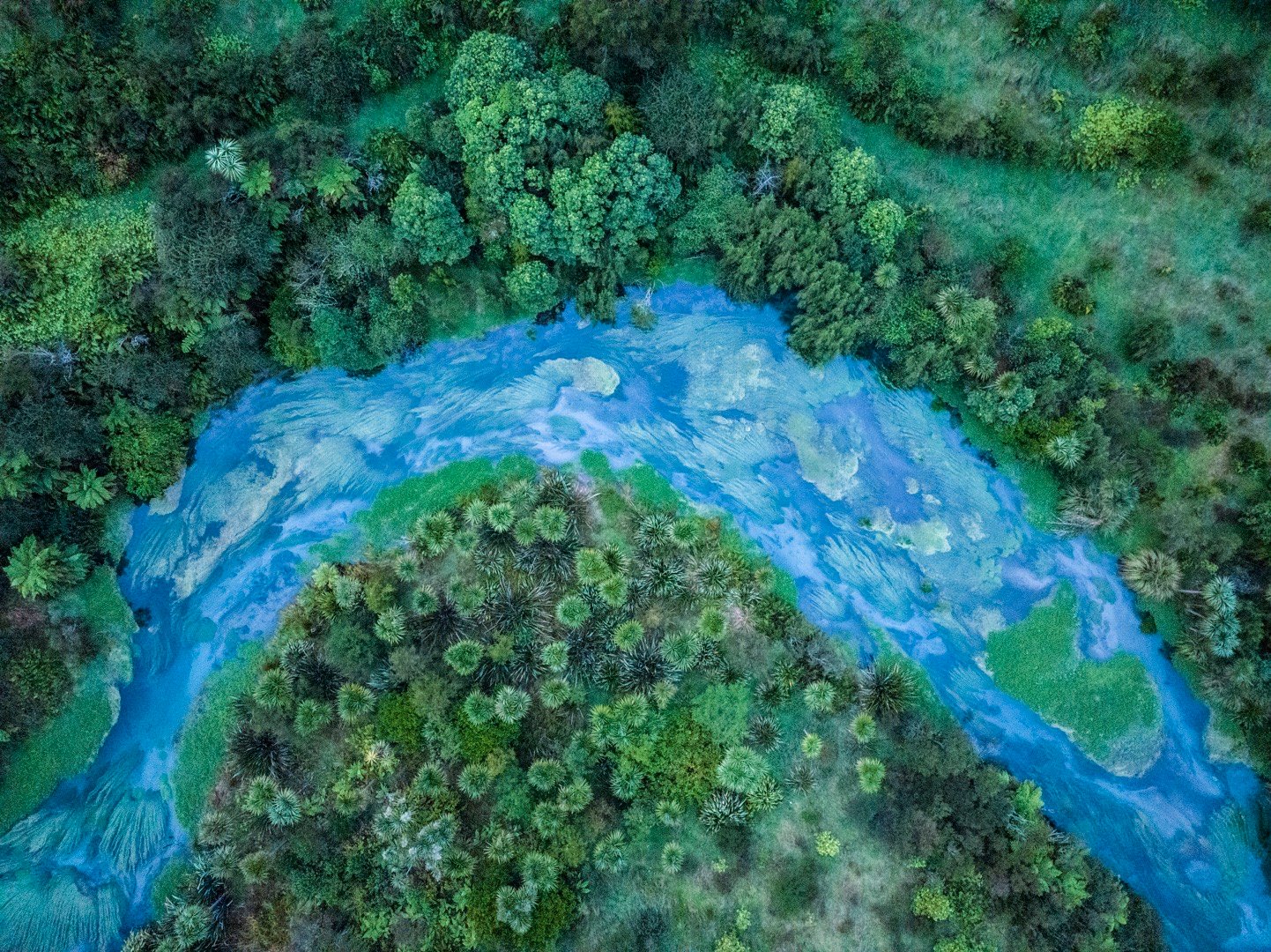 Blue Spring Putaruru 一天没信号，终于在蓝调时刻抵达了这里……__财经头条