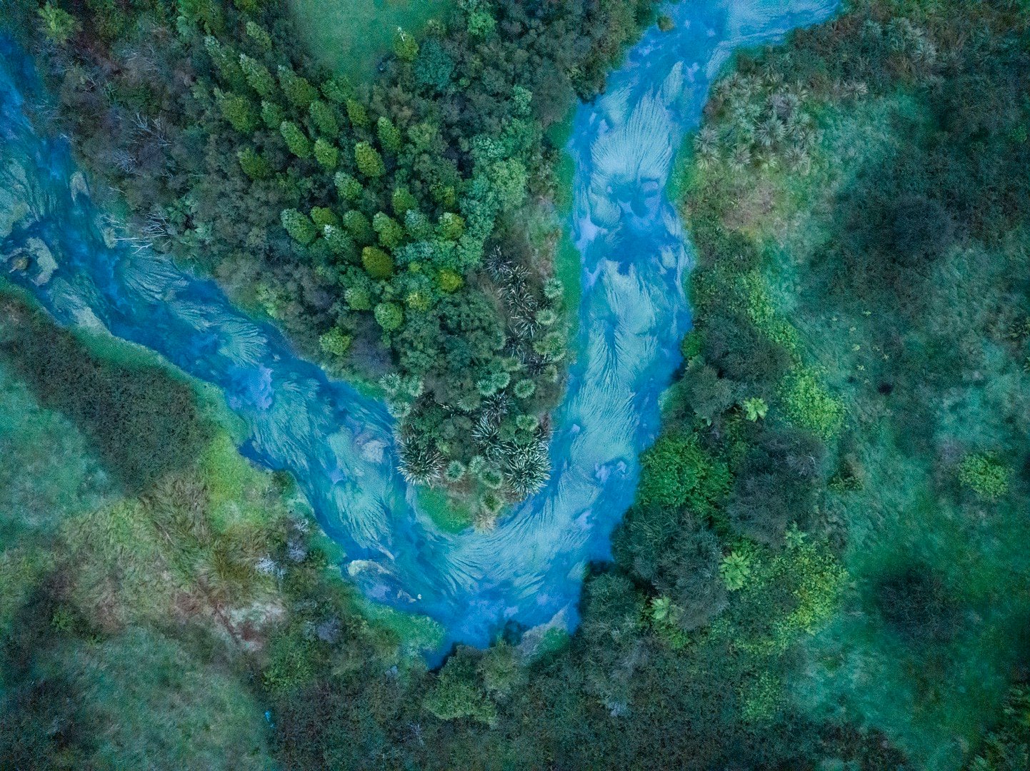 Blue Spring Putaruru 一天没信号，终于在蓝调时刻抵达了这里……__财经头条