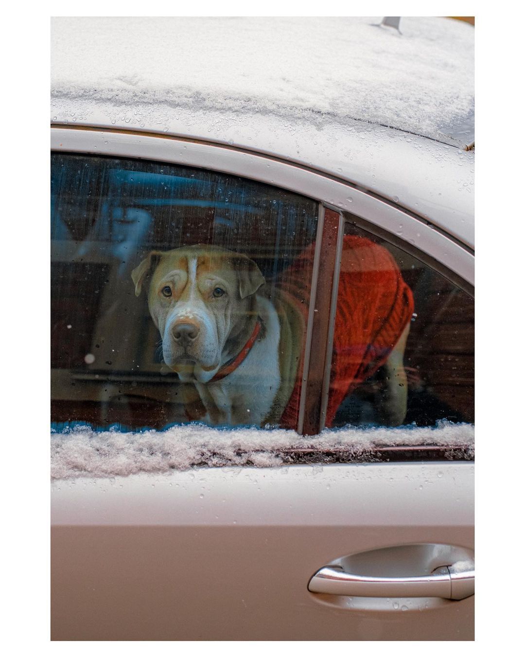 伦敦的雪 Josh Edgoose