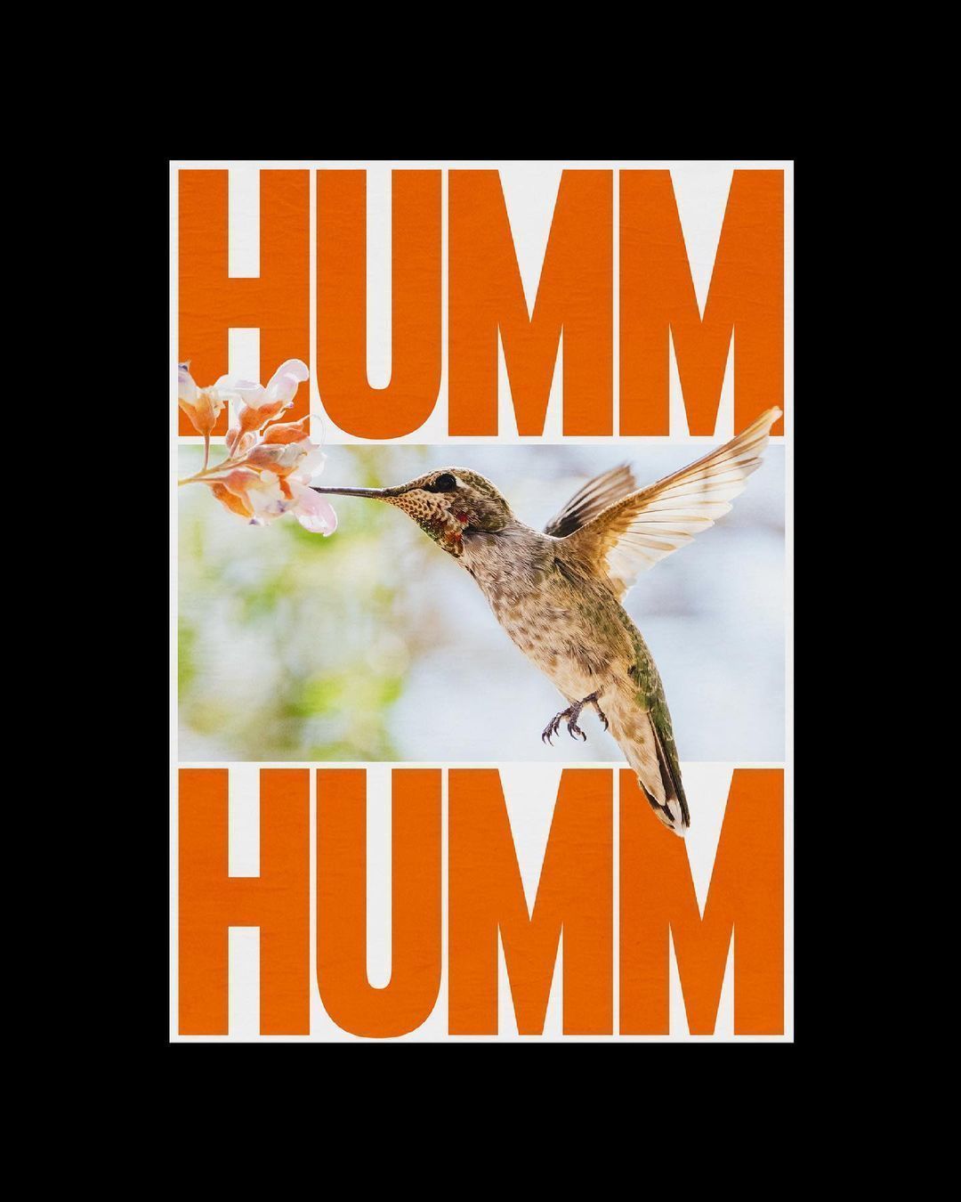 Jack Forrest 作品欣赏，值得参考的配色以及版式__财经头条