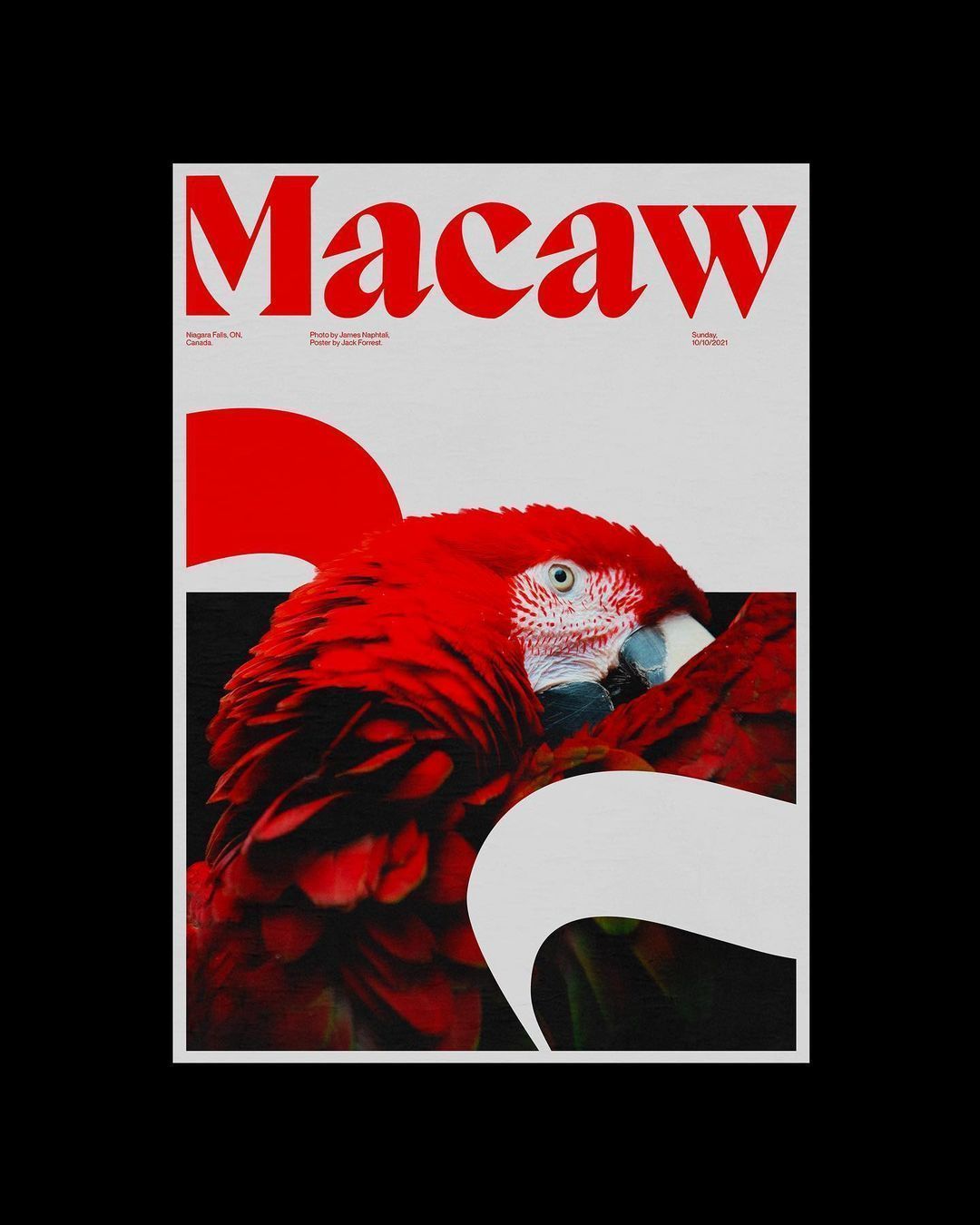 Jack Forrest 作品欣赏，值得参考的配色以及版式__财经头条