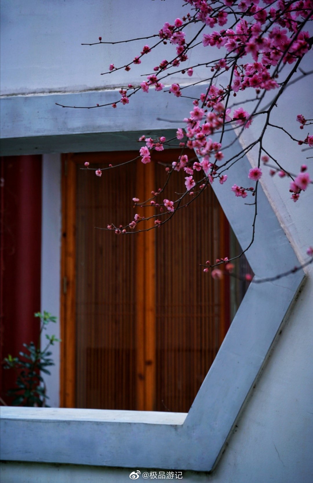 日暖花梢，香飘帘幕__财经头条