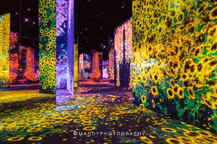 📍澳门· teamLab超自然空间