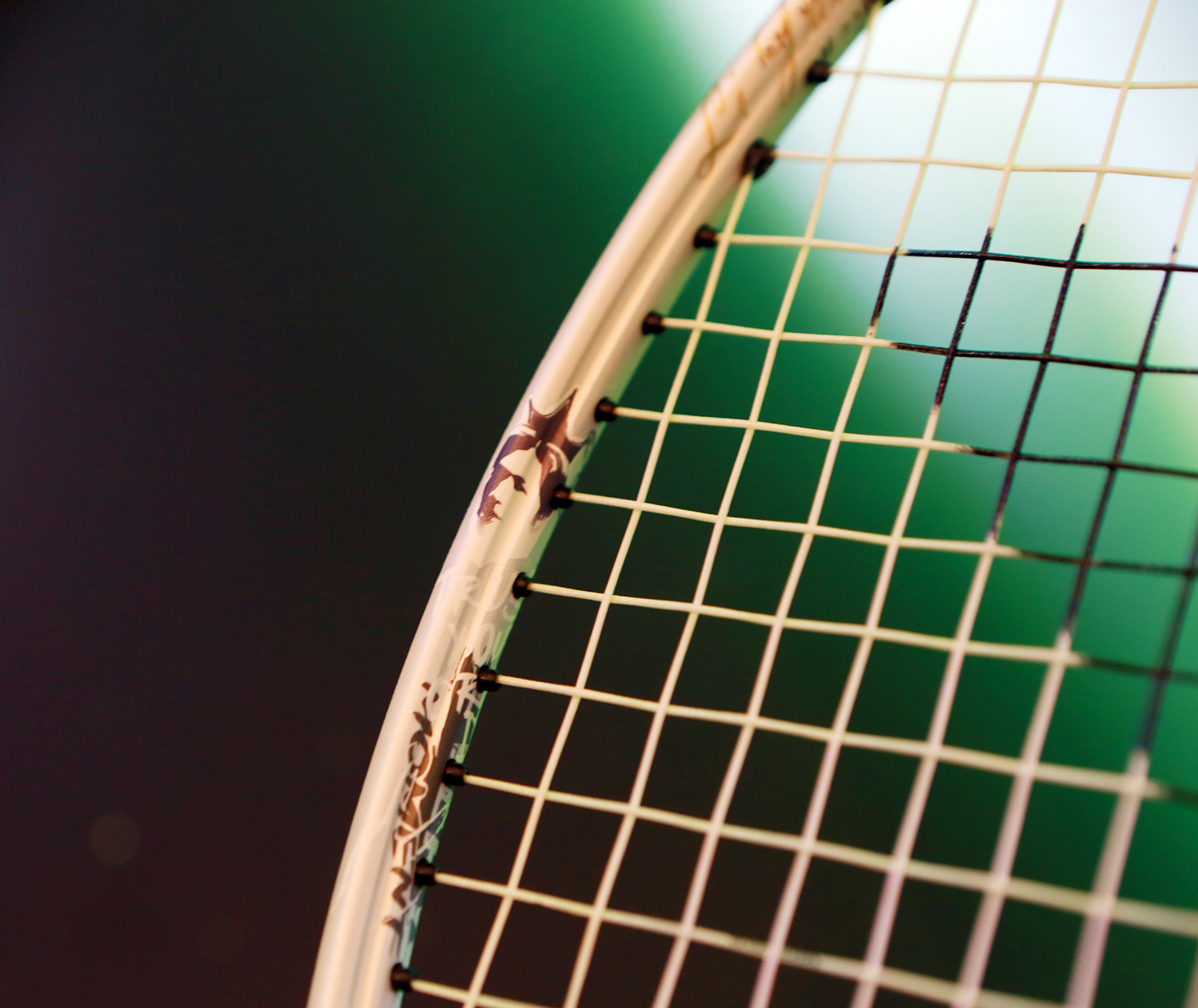 灵心“慧”性 “俊”采飞驰 ARS-LJH 热爱不止__财经头条