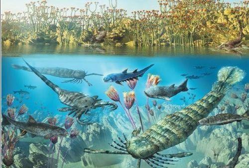 知道地球的两次大氧化事件吗？第二次直接催生了寒武纪生物大爆发|地球|生物_新浪新闻