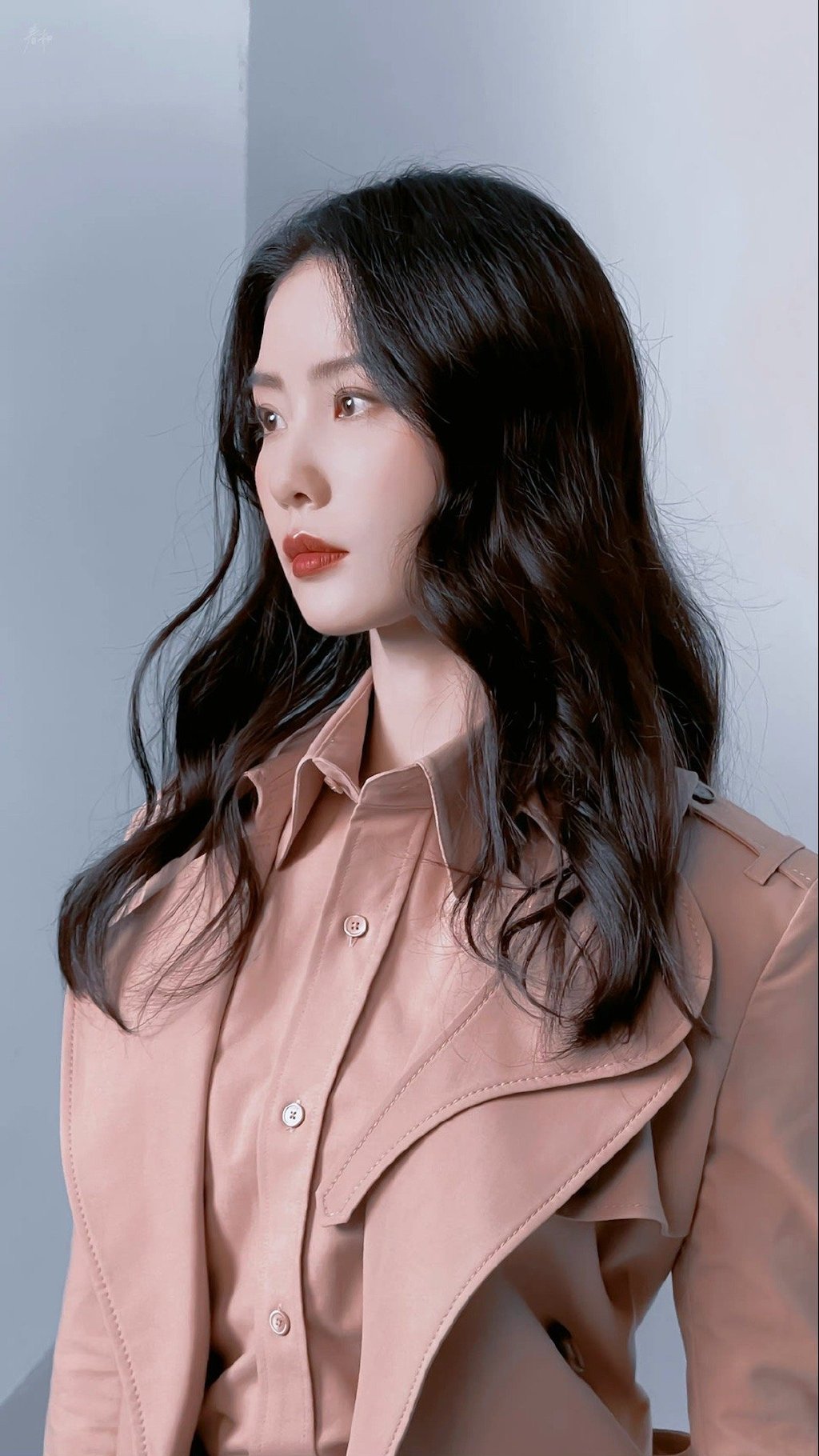 刘诗诗饭制证件照毫无违和感，依然还是这么米！