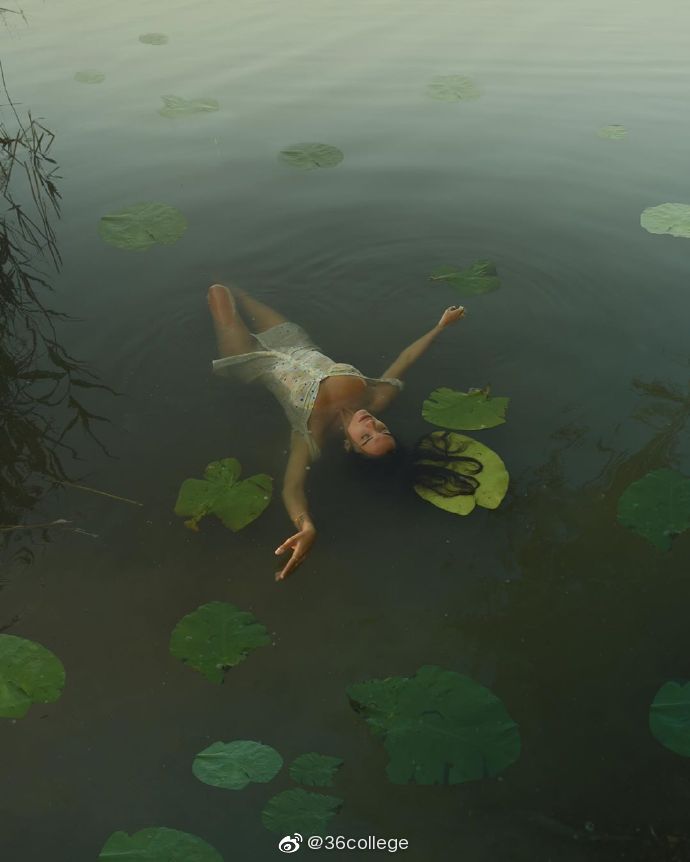 Nicholas Fols Photography