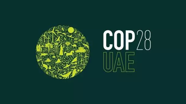 回顾COP28，有哪些成果？|巴黎协定|阿联酋|阿联酋共识_新浪新闻